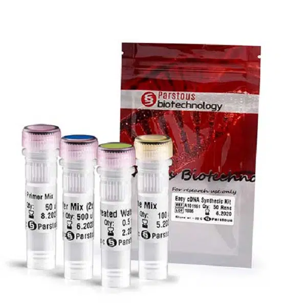 Easy cDNA reverse transcription kit - زیست فناوری سینوهه