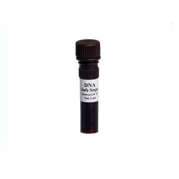 DNA Safe Stain,500μl - زیست فناوری سینوهه