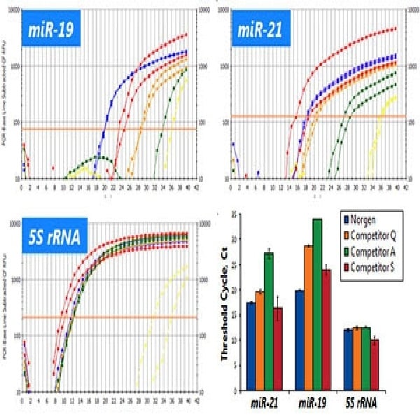 microRNA Purification Kit - زیست فناوری سینوهه