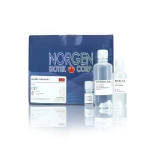 microRNA Purification Kit - زیست فناوری سینوهه