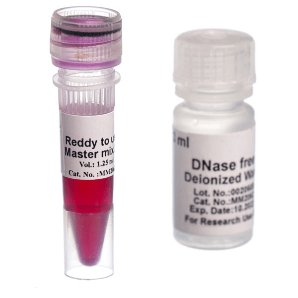 ready to use PCR Master mix 2x .100Tests/25ul-MM2062 - زیست فناوری سینوهه